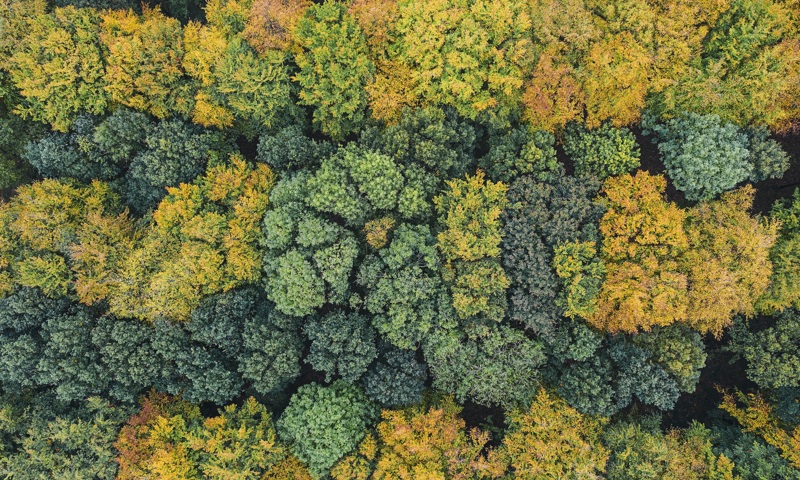 Leigh Day Solicitors | London and Manchester Solicitors | Leigh Day