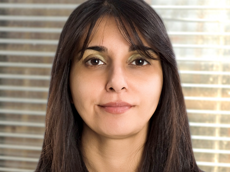 Harminder Bains features on podcast series by Tortoise Media examining ...
