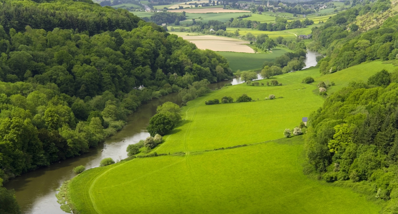 River Wye catchment area residents may have legal claim against chicken ...