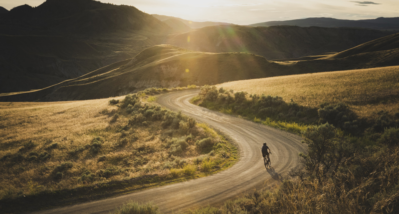 Bergamont Grandurance and Sweep Road Bike in safety recall | Leigh Day