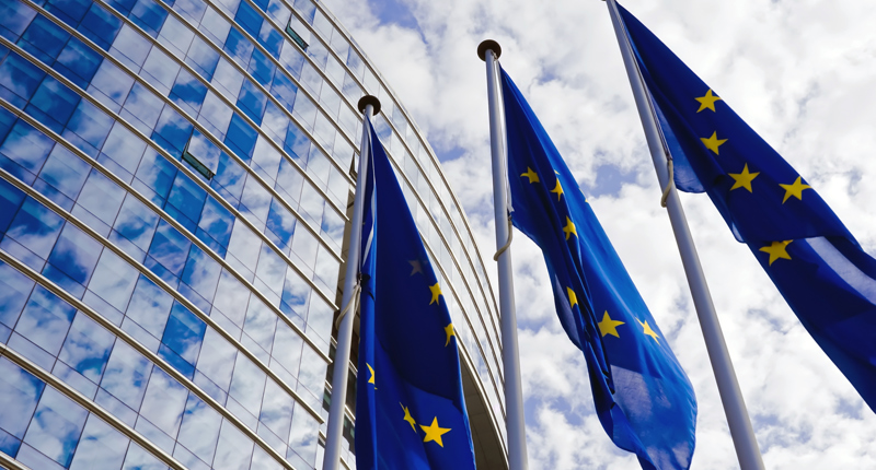EU Directive on Corporate Sustainability Due Diligence: no plans for ...