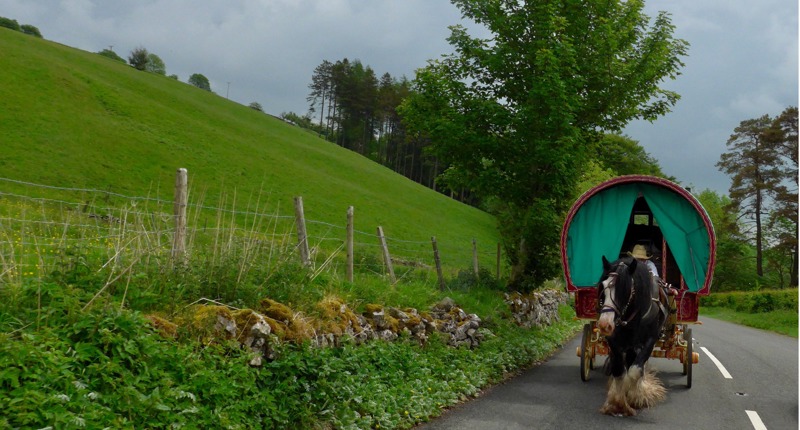 Gypsy Roma and Traveller History Month