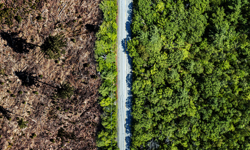 Defining ‘ecocide’: how and why should environmental destruction be ...